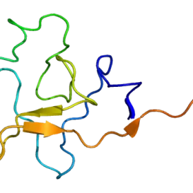 LIPOPROTEIN(a)- Lp (a) – Alaknanda Diagnostic Lab