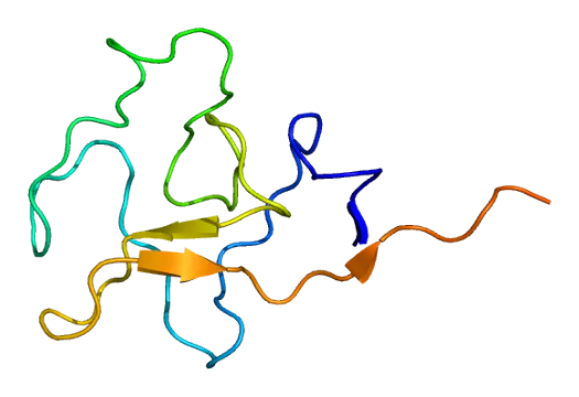 LIPOPROTEIN(a)- Lp (a) – Alaknanda Diagnostic Lab
